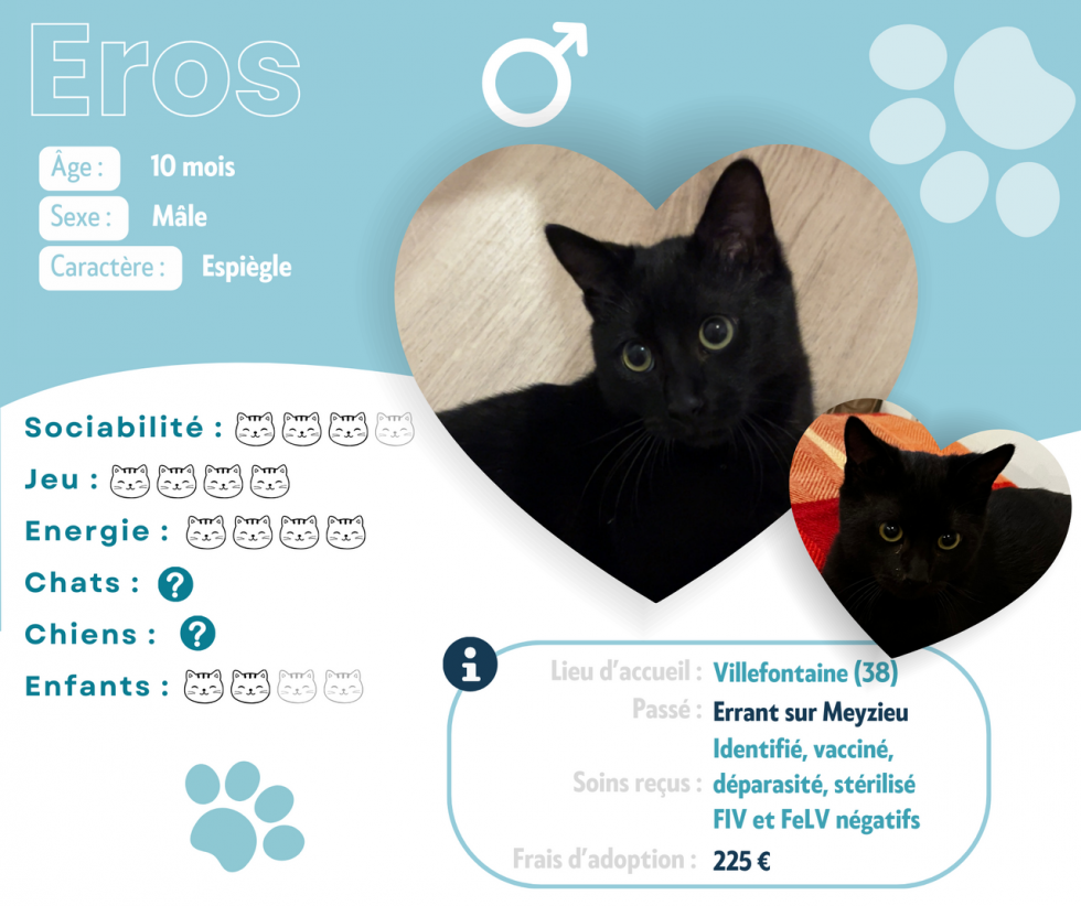 EROS - 10 MOIS - ♂︎ - Association Ron'Rhône